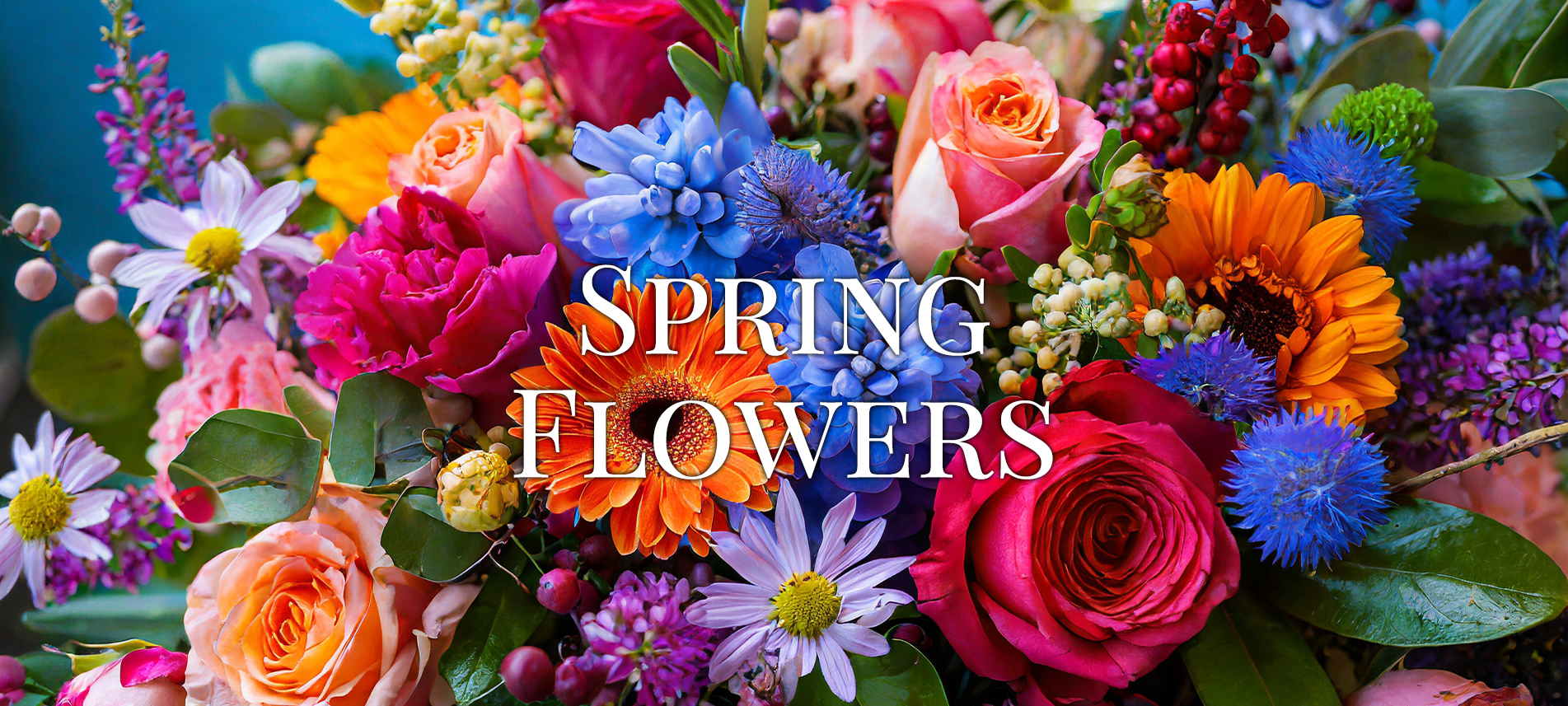 Flower Power Glounthaune Cork | Best Flower Site